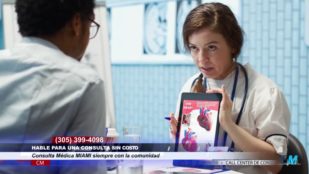 «18+ | Miami TV Models» смотреть онлайн прямой эфир на SPBTVOnline